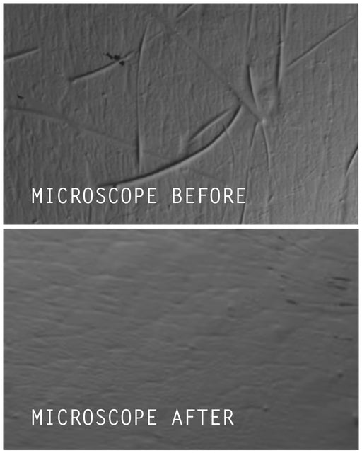 NIMBI Disposable Razor. Pack of 4 – Nimbi Supply